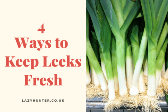 4 Ways to Keep Leeks Fresh - Lazy Hunter-Food | Recipes