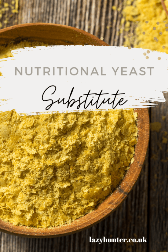 Nutritional Yeast Substitute - Lazy Hunter-Food | Recipes